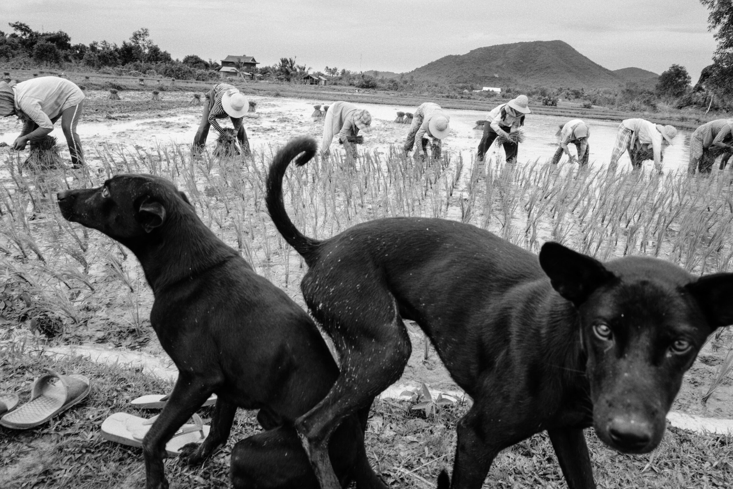 John Vink Archiv, Fotografie, Visual Art FINE ART - Galerie und Kunstverein